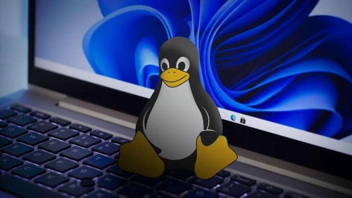 2025: O Ano do Linux? Custos do Windows 11 expostos, LibreOffice ganha ...